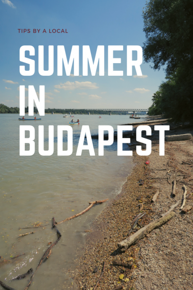 Conquer the Wild! | Travel Hacker Girl