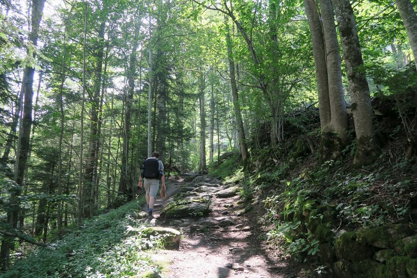 Visiting Aare Gorge and Reichenbach Falls in Switzerland | Travel ...