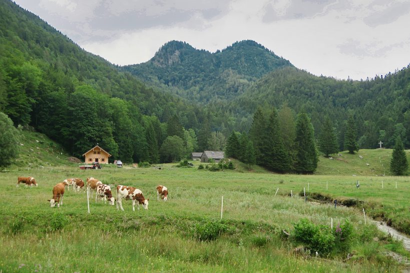 Exploring Schwarzensee – a hidden gem in Salzkammergut | Travel Hacker Girl
